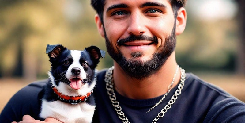 10 Common Diseases in Cats and Treatment Recommendations – iPetprints